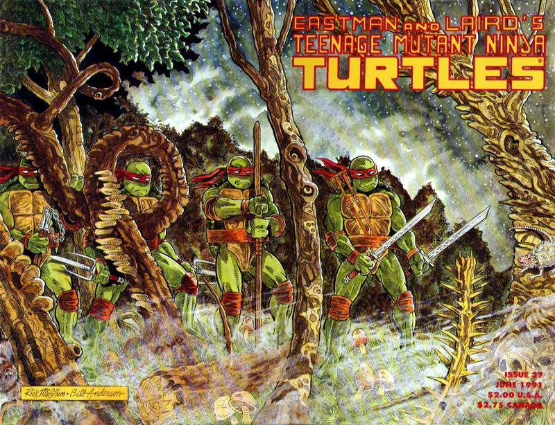Teenage Mutant Ninja Turtles #37 by Mirage Comics – Spartan Comics
